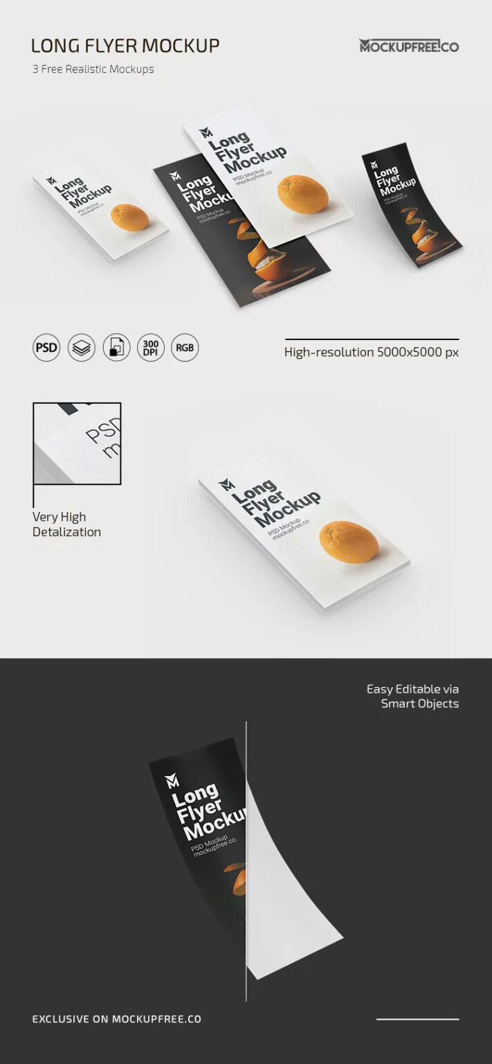 3 Sights of Long Flyer Mockup | Mockup Space